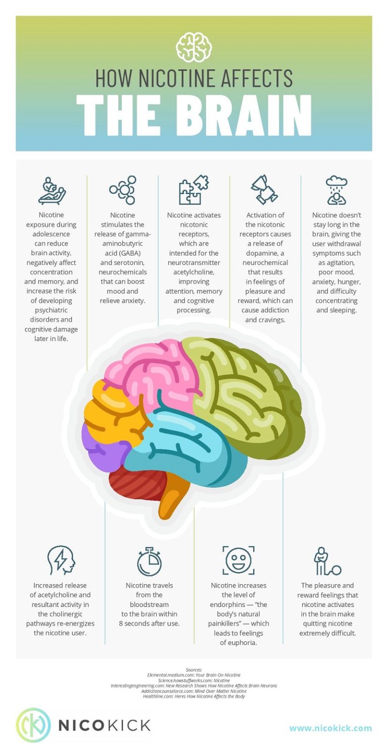 The Effect Of Nicotine On The Brain - Go 4 Healthy Life